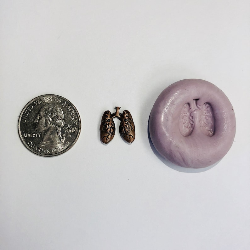 Small Human Body Parts/organs Silicone Molds - Etsy