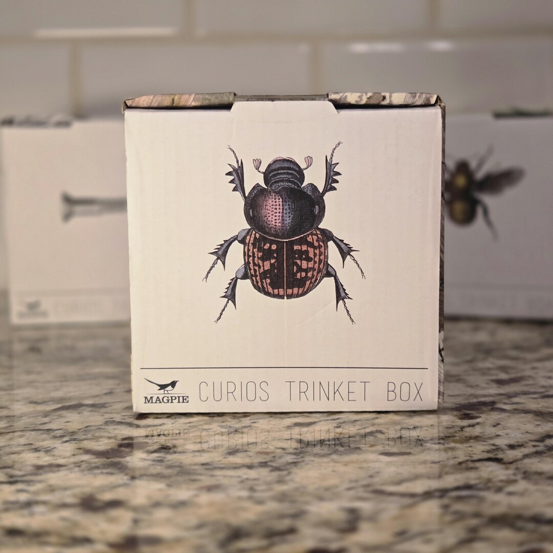 Curios Beetle Trinket Box by Magpie - Etsy