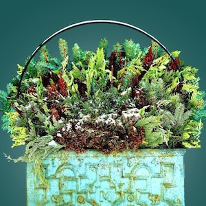 Elysian Garden® Ornamental Arch for Window Boxes and Planters - Etsy