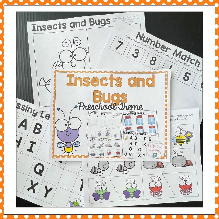 Insects and Bugs Preschool Theme - Etsy