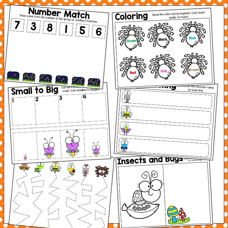 Insects and Bugs Preschool Theme - Etsy