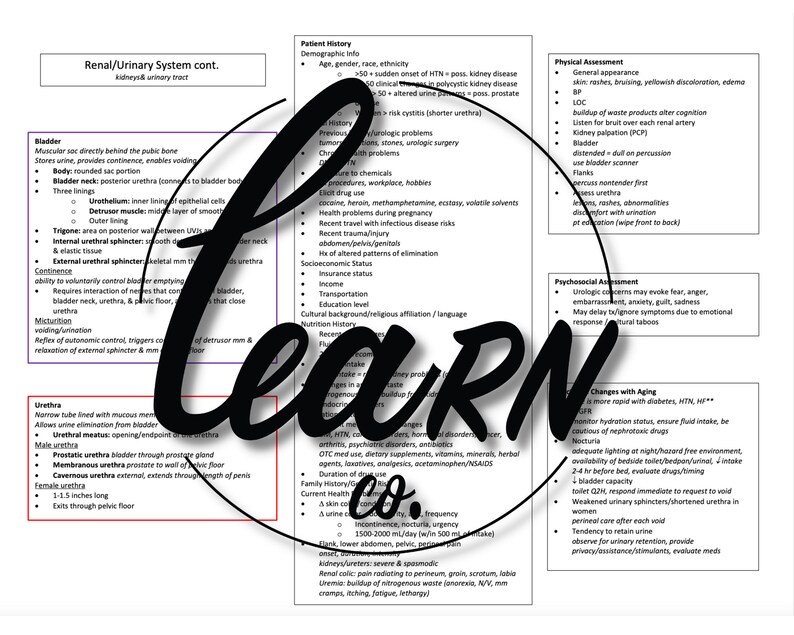 Nursing Concept Map Renal Study Aid Urinary System Nurse Student Nurse ...