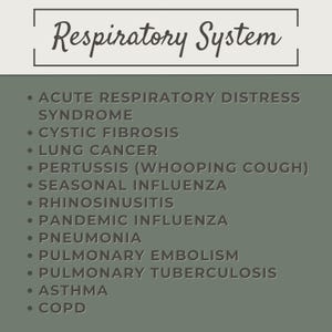 Respiratory System Review | Nursing Program Study Guide | NCLEX Prep ...