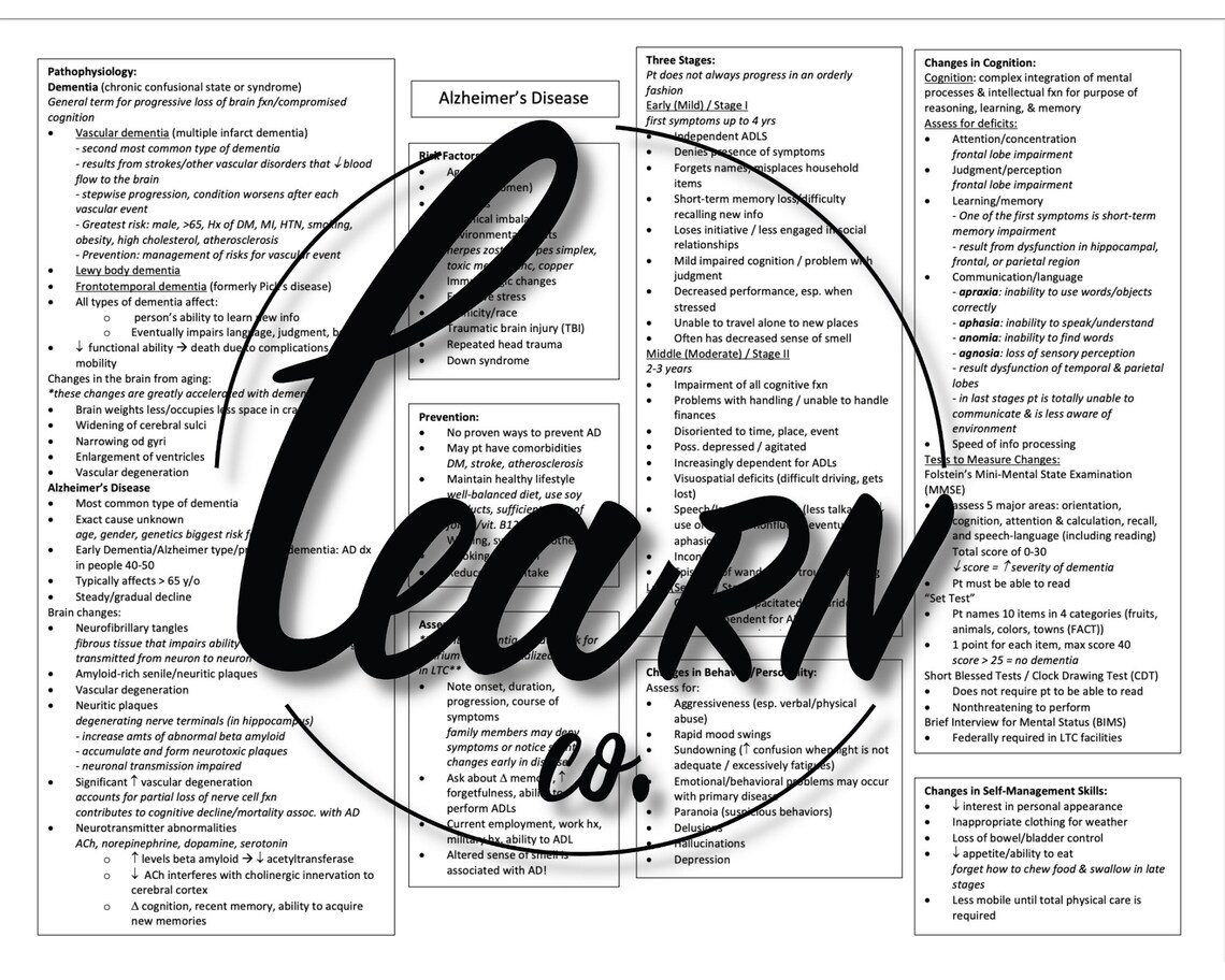 Nursing Concept Map Neuro Study Aid Neurological System - Etsy