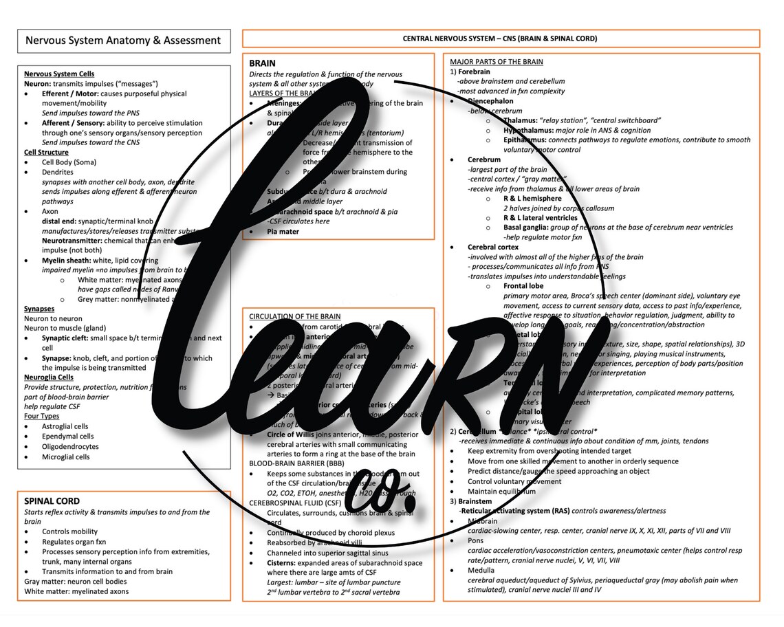 Nursing Concept Map Neuro Study Aid Neurological System - Etsy