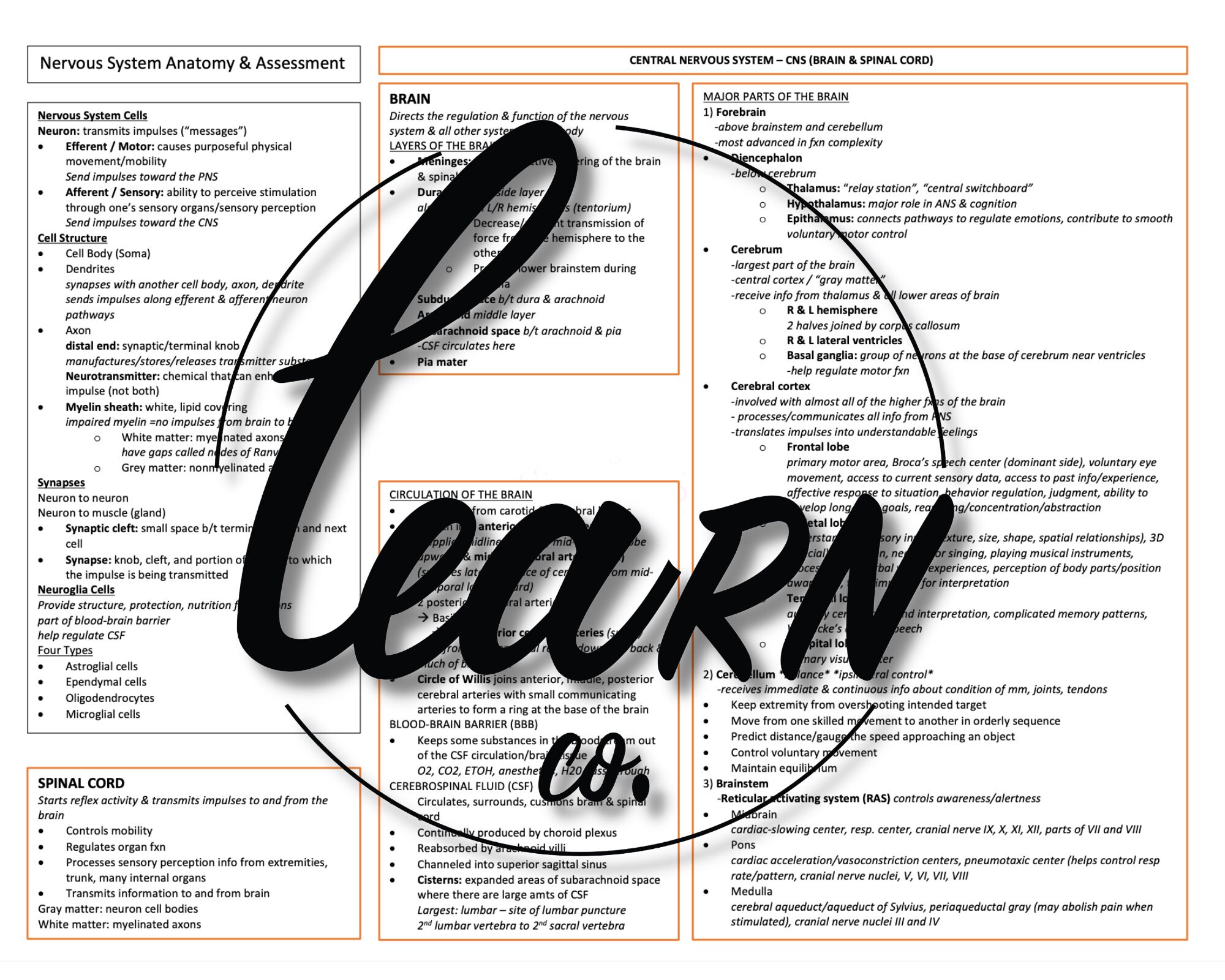 Nursing Concept Map Neuro Study Aid Neurological System Nurse Student ...
