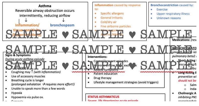 Asthma Concept Map NCLEX Study Guide Nursing School Help - Etsy