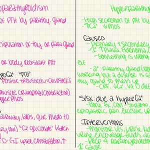 Endocrine Nursing Notes - Etsy