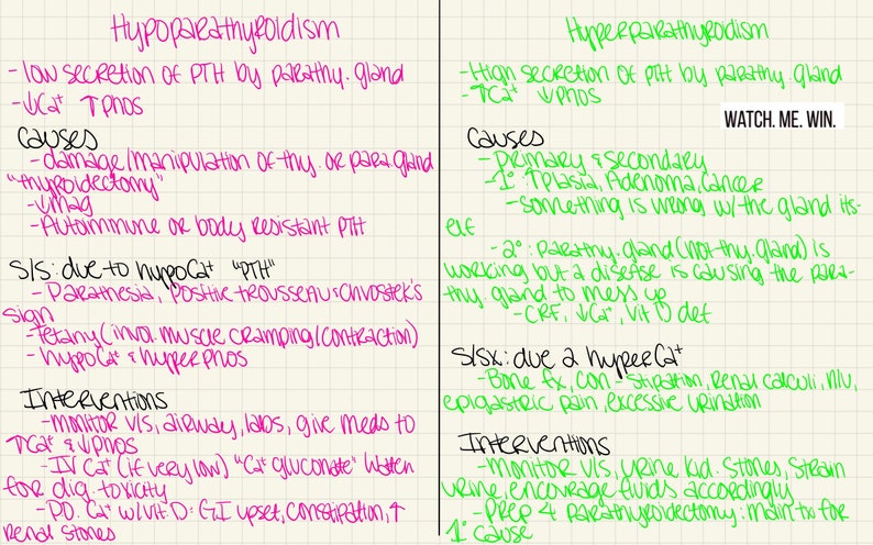 Endocrine Nursing Notes - Etsy