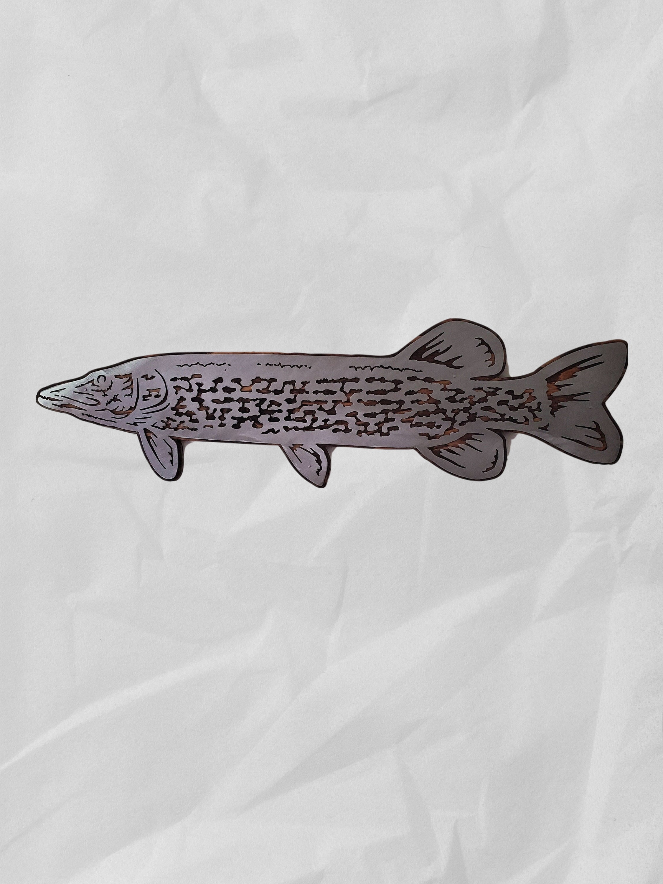 Pike Fish Drawing