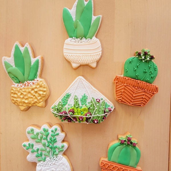 Succulent Cookies - Etsy