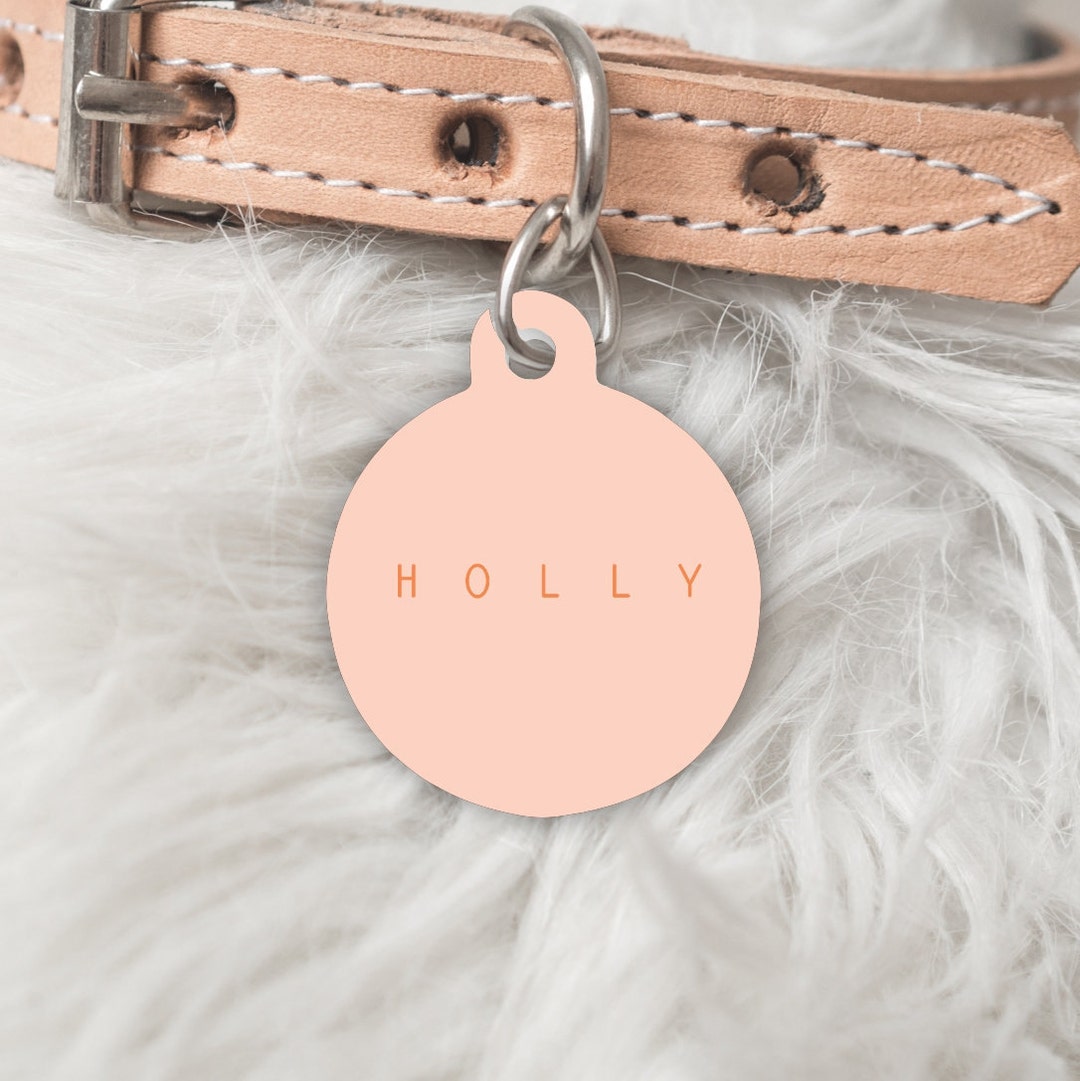 The Gelato Collection Solid Dog Tag Cat Tag Pet ID Tags - Personalised ...
