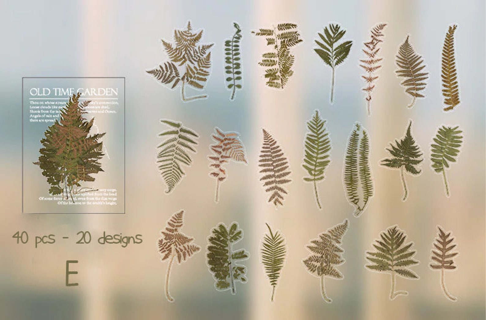 40 Pcs Feather Sticker PET Sticker Transparent Sticker - Etsy