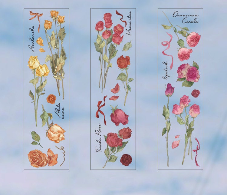 Set of 6 Pcs 7 Stripe Stickers PET Sticker Transparent | Etsy