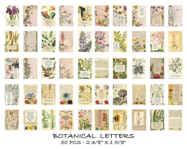 Ephemera Booklet 100 Pages or 80pages Old Ads Newspapers - Etsy