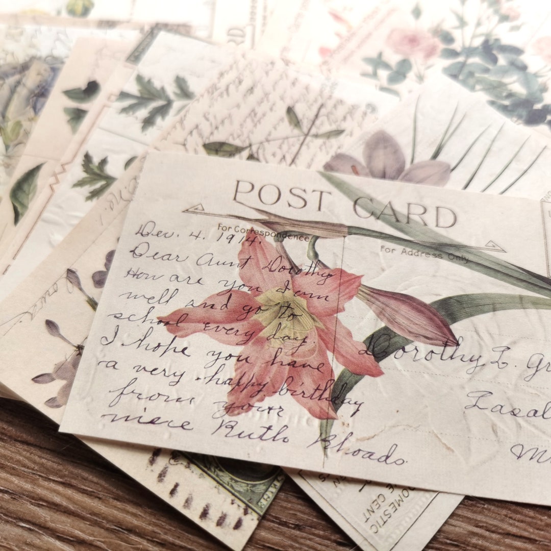 Background Pattern Paper Sheet, Ledger Paper, Botanicals,bingo ...