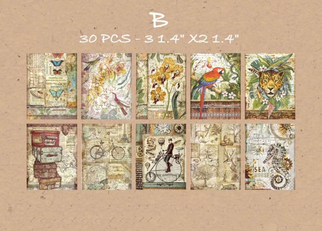 Botanical Vellum Paper Sheets: Atelier Collage for Junk Journals (set ...
