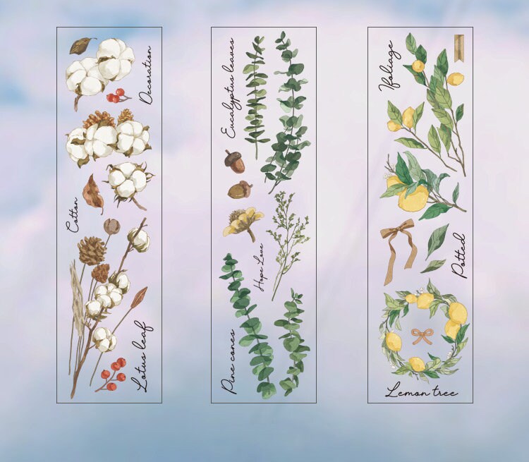 Set of 6 Pcs 7 Stripe Stickers PET Sticker Transparent | Etsy