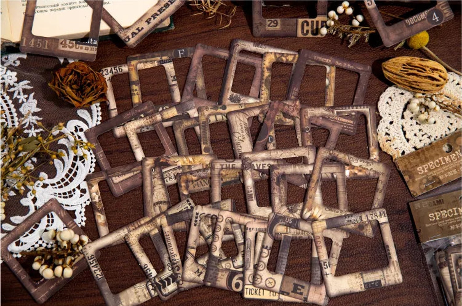 Specimen Frames Butterfly Kit, Insects Set, Junk Journal, Scrapbooking ...