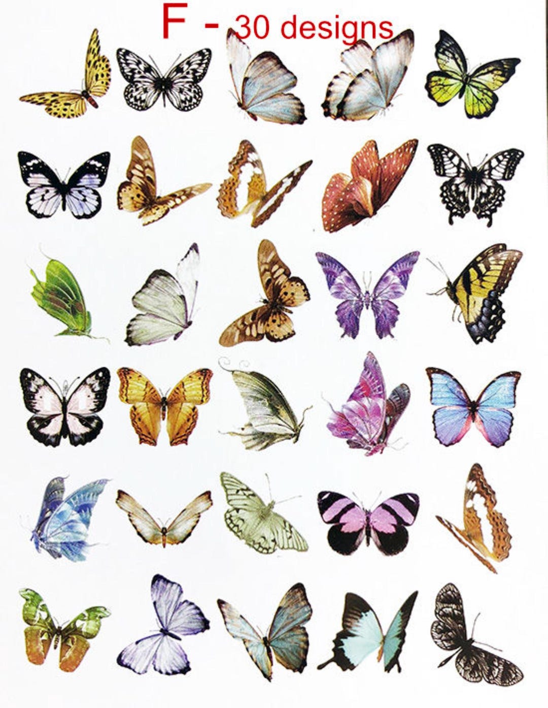 Botanical Sheets Vellum Stickers, Tickets Sticker Sheets, Floral Vellum ...