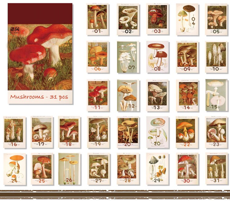 Ephemera Calendar Booklet 31 Pcs Mushroom Botanical - Etsy