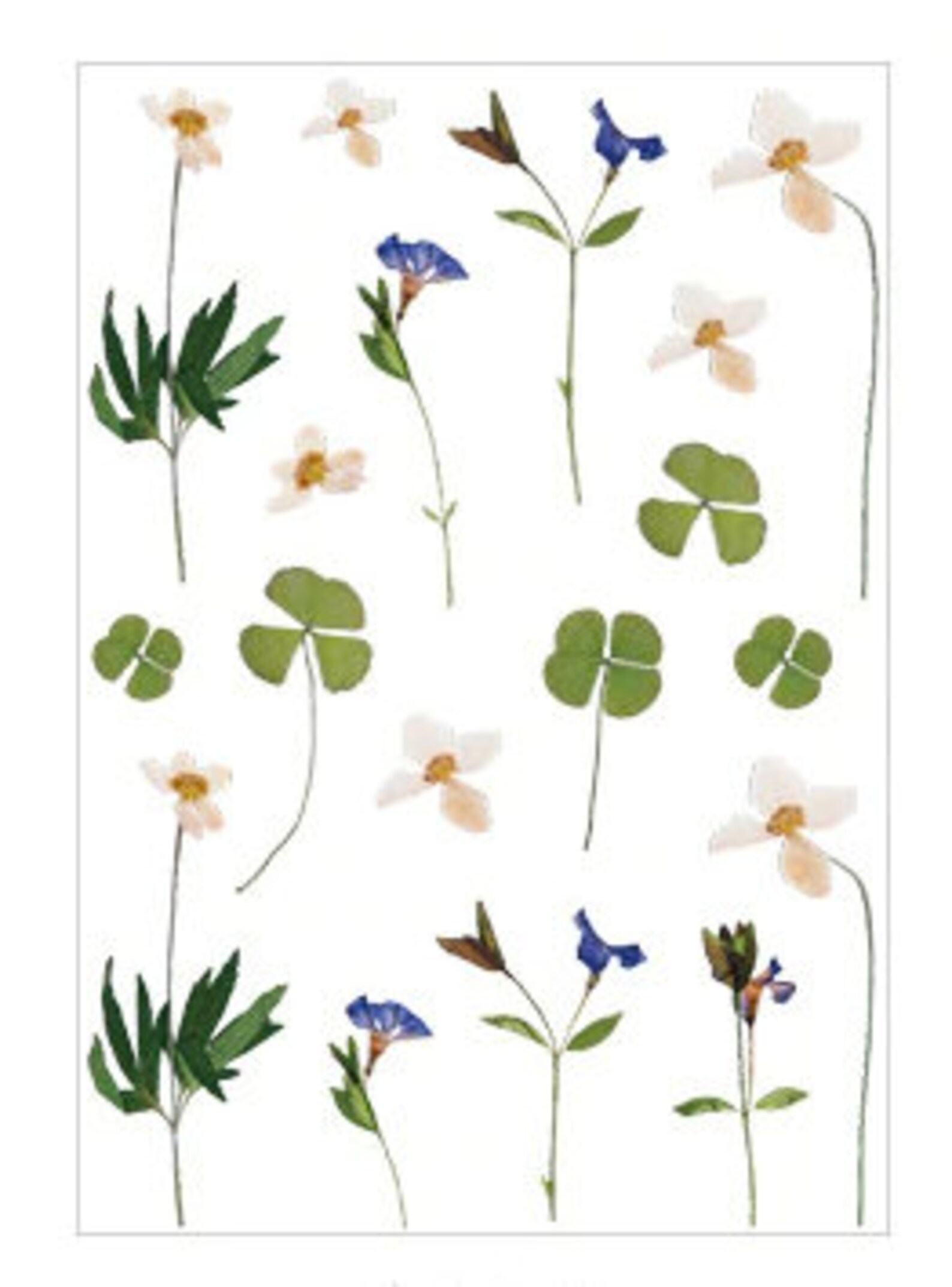 Botanical Stickers in a Sheet PET Sticker Transparent | Etsy