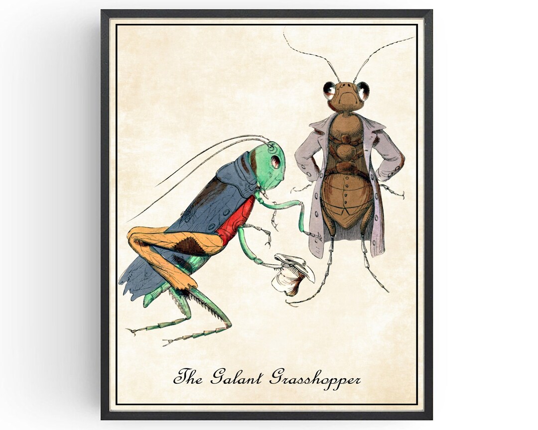 Insects as People - Vintage Animals in Clothes Gothic Wall Art ...