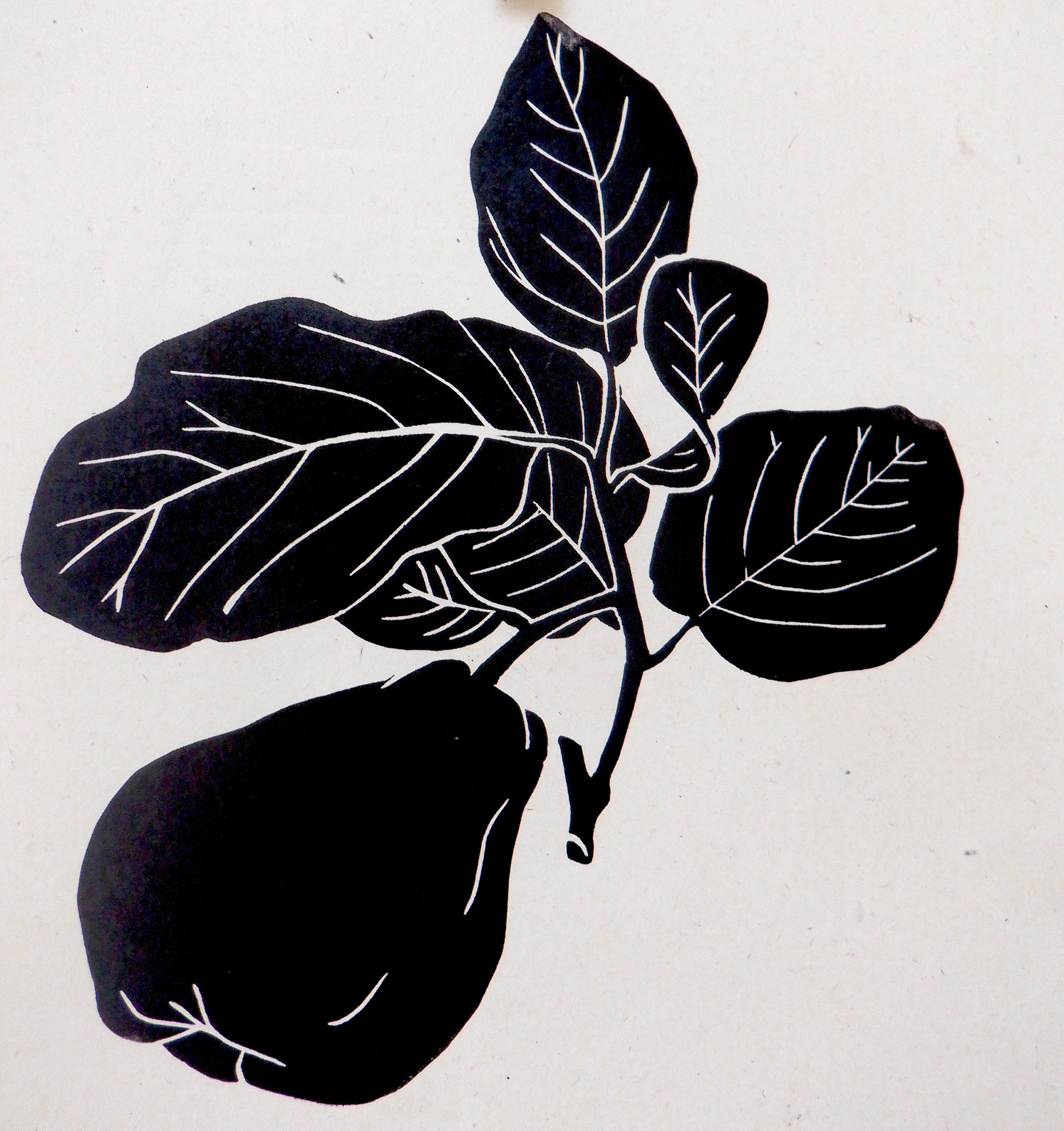 Botanical Fruit Pear Print. Lino Cut. Handmade Print - Etsy