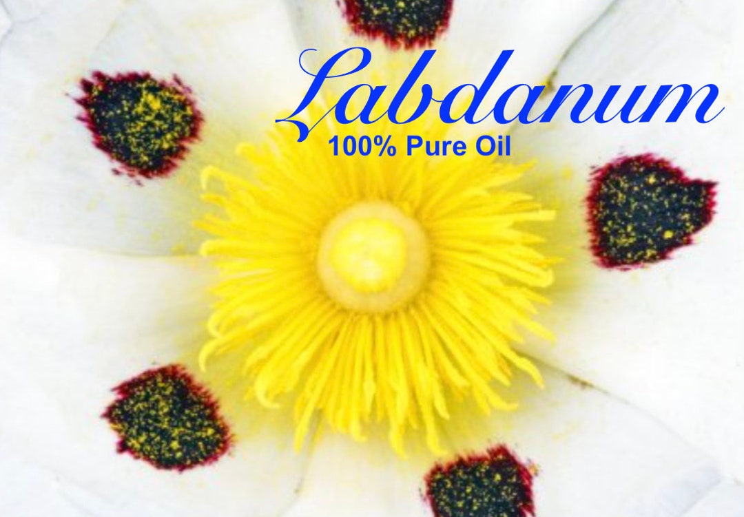 Labdanum Absolute - 100% Pure Perfume Grade - Etsy