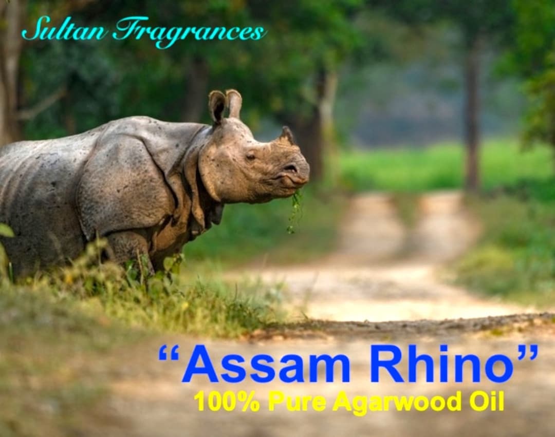 Oud Assam "rhino" - 100% Agarwood Oil (A+ Grade) | Vegan/plant Product ...