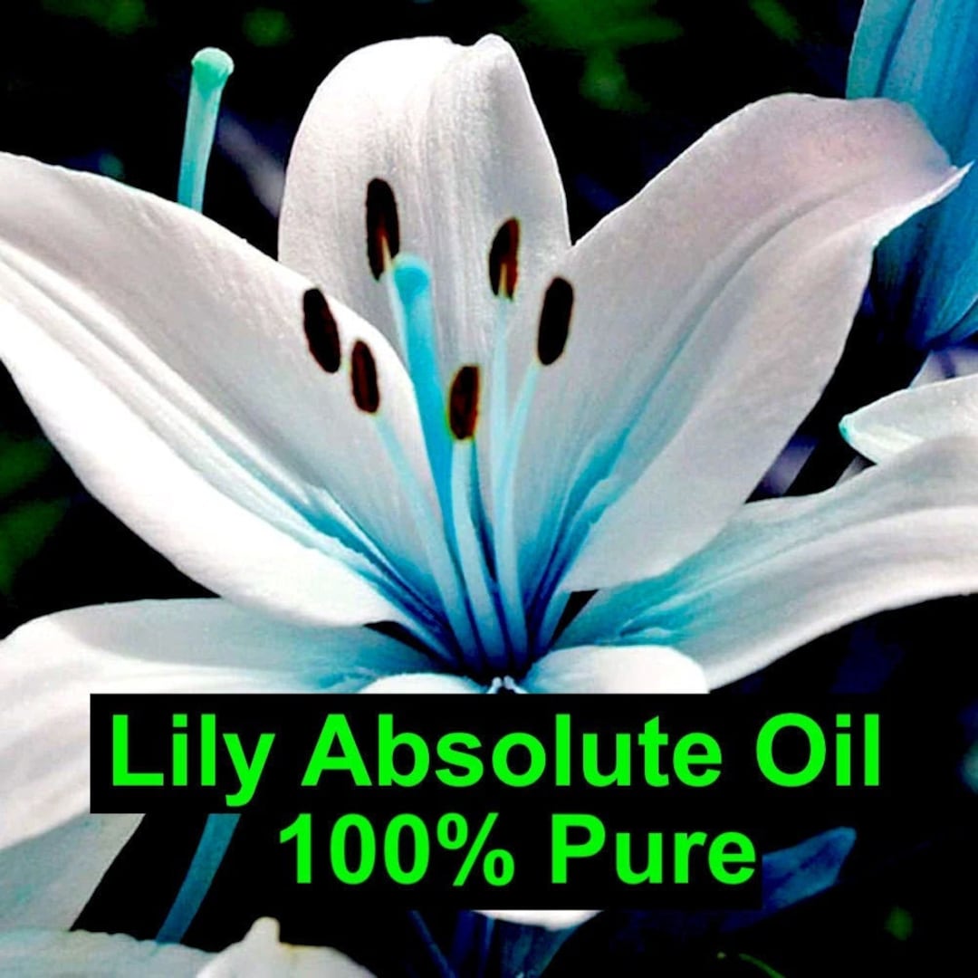 Lily Absolute - 100% Pure Premium Oil - Etsy