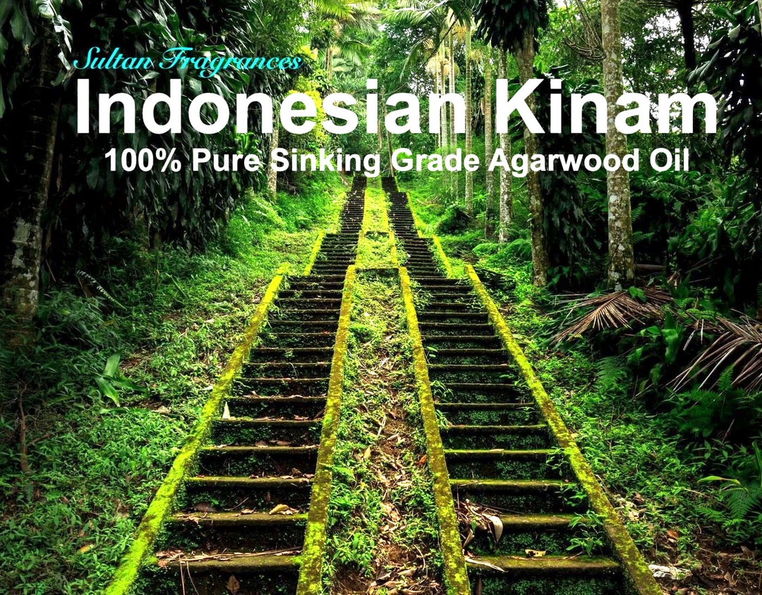 Kinam/kyara (沈香) Pure Sinking Grade Oud Oil - 100% Agarwood Oil - Etsy