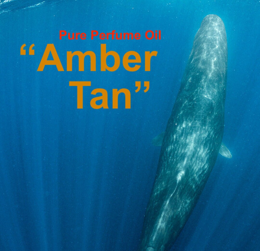 AMBER TAN - (A Grade) Oil Perfume - Etsy