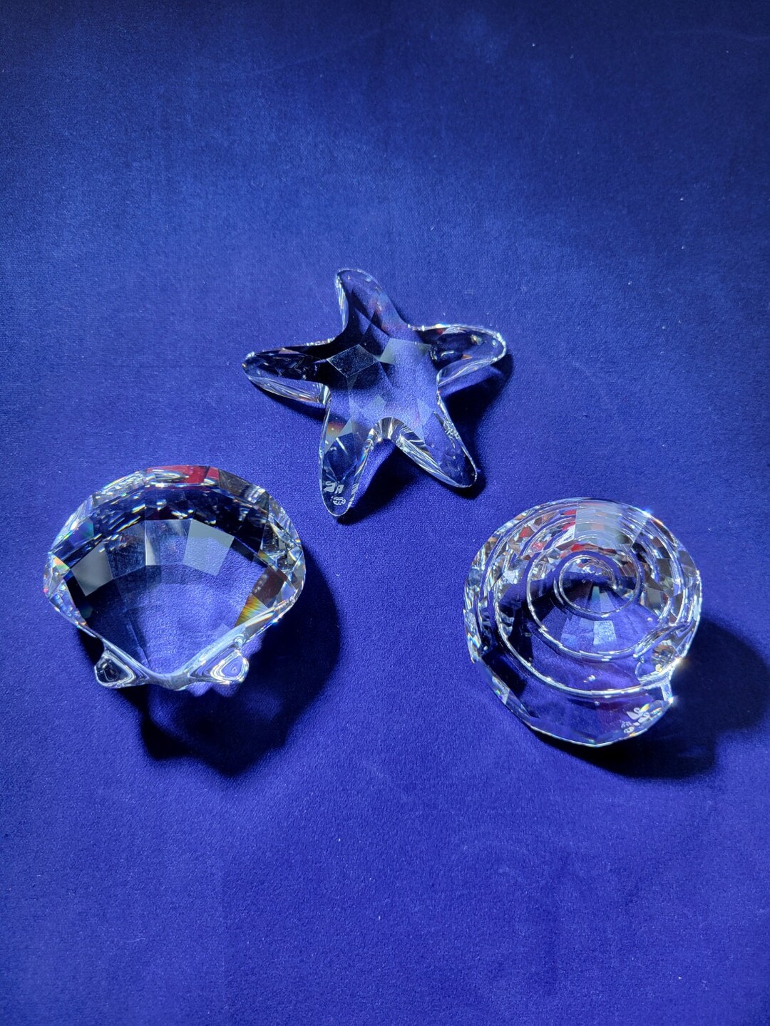 Swarovski SCS Member 2005-2007 Trilogy of the Sea Shells - Etsy