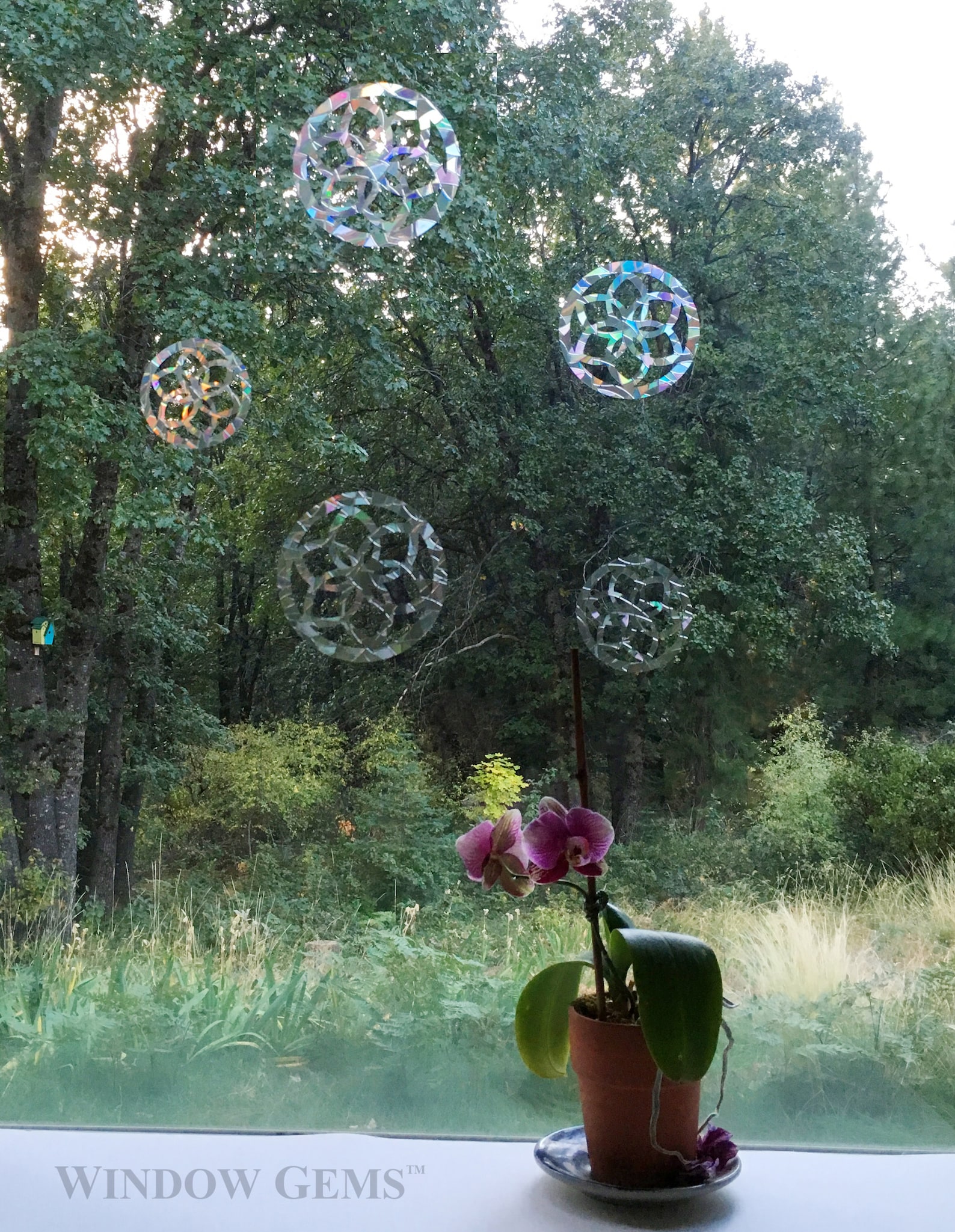 Lotus Mandala Window Cling Bird Strike Prevention Decals - Etsy