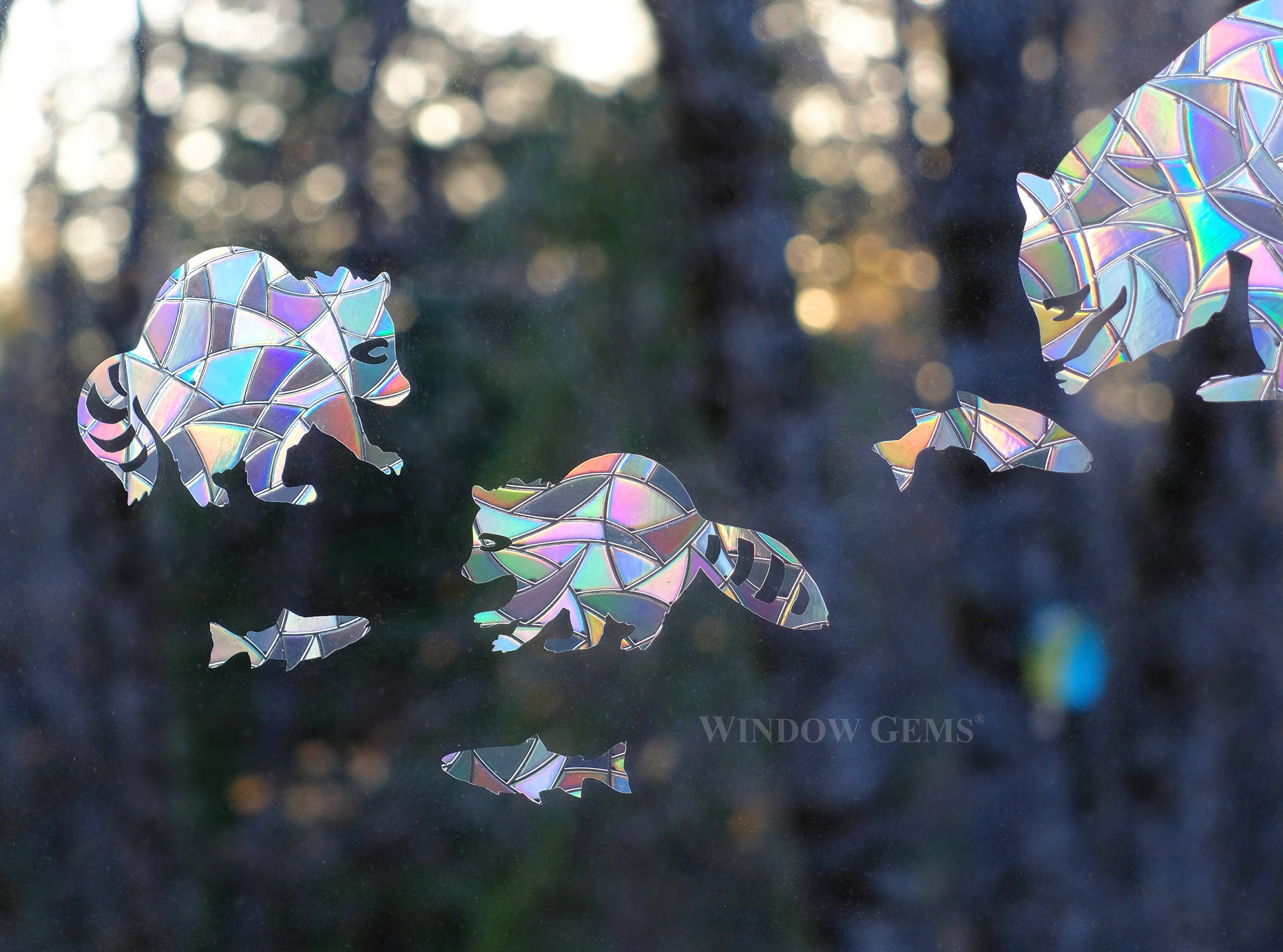 Raccoon Window Clings – Prismatic Decals to Prevent Bird Collisions - Etsy