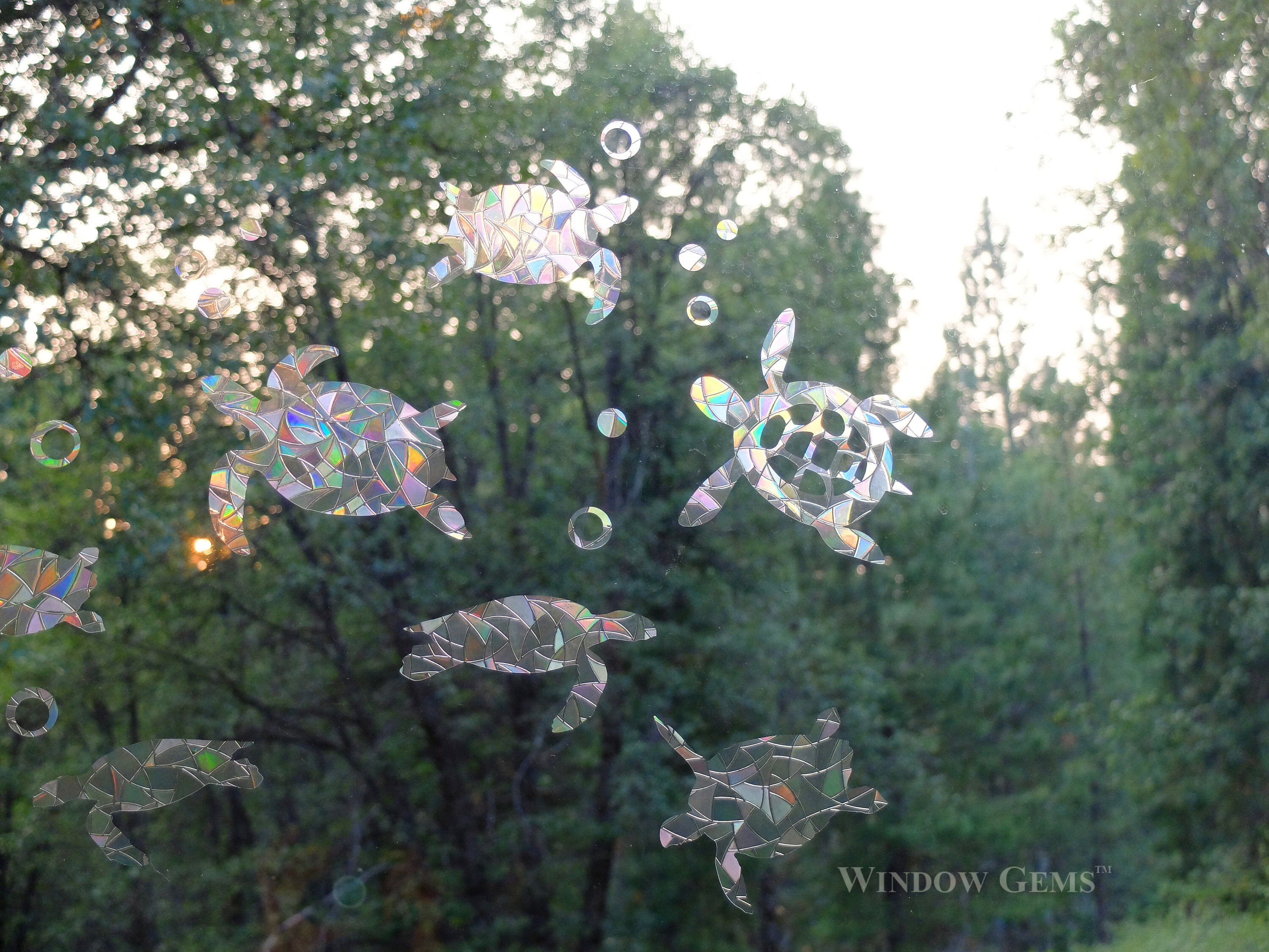 Rainbow Prism Sea Turtle Decals Static Window Clings Alert - Etsy