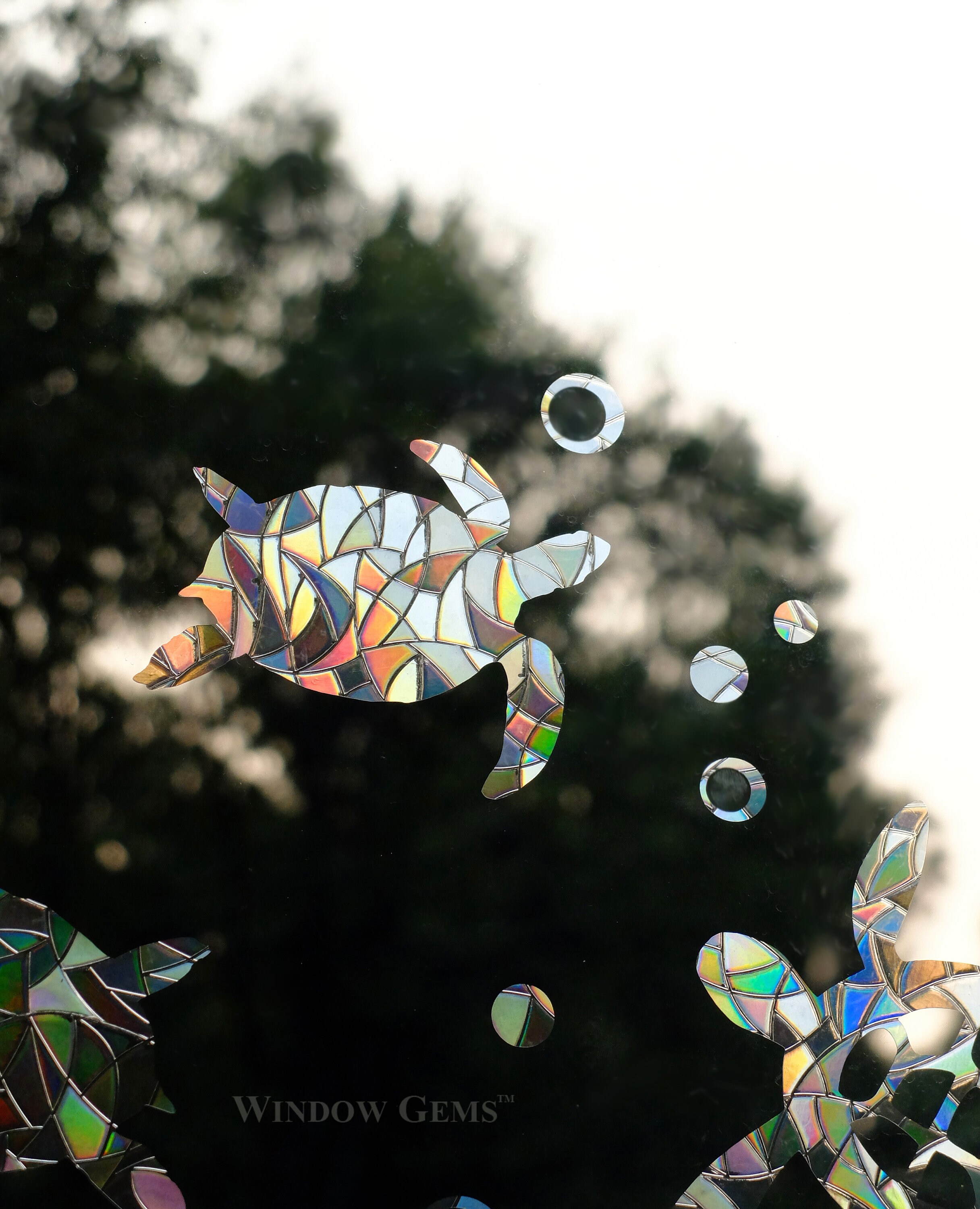 Rainbow Prism Sea Turtle Decals Static Window Clings Alert - Etsy