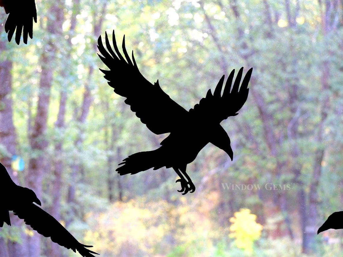 Raven Window Clings Matte Black Decals Prevent Bird/window - Etsy