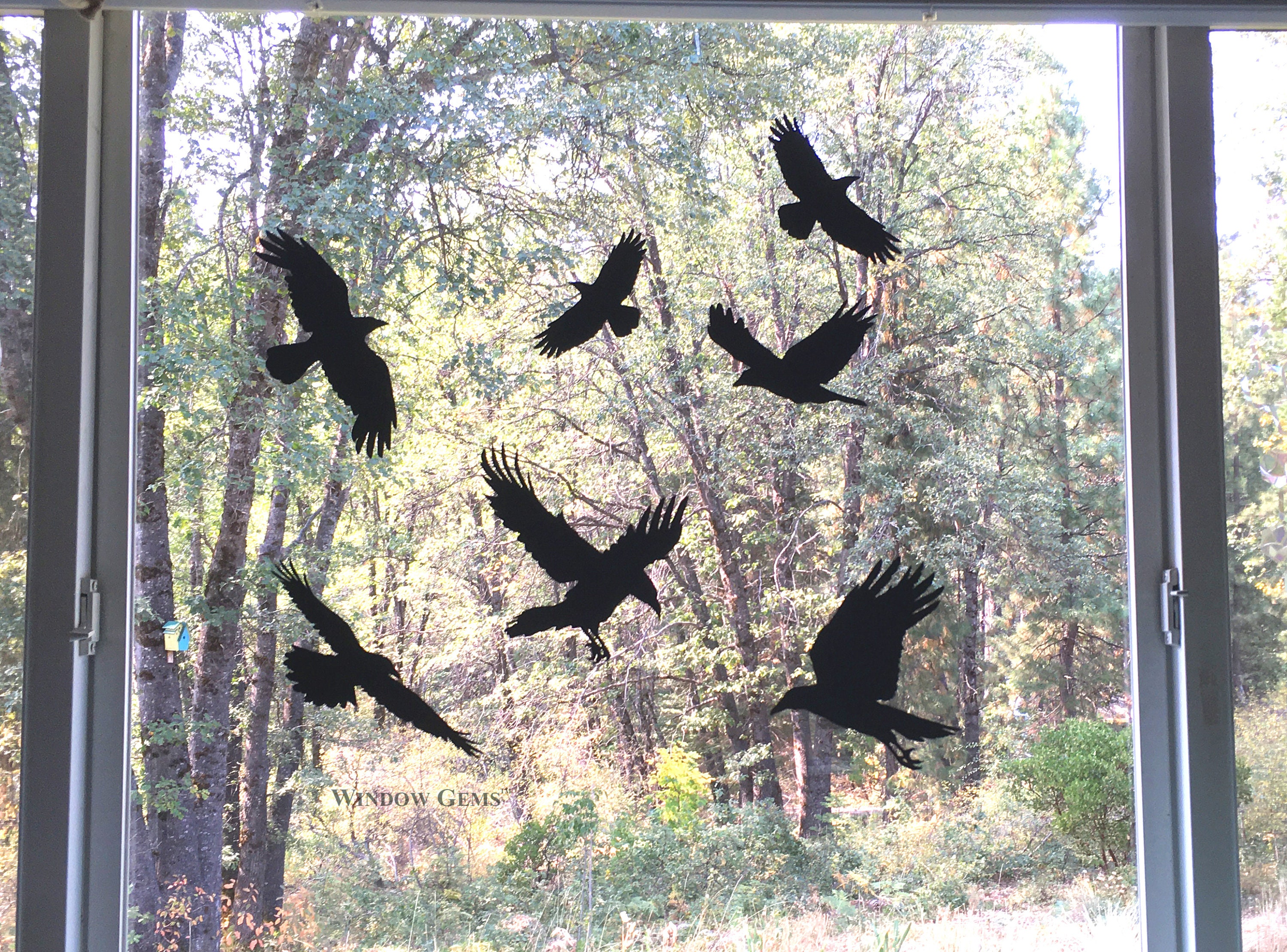 Raven Window Clings - Matte Black Decals - Prevent Bird/window ...