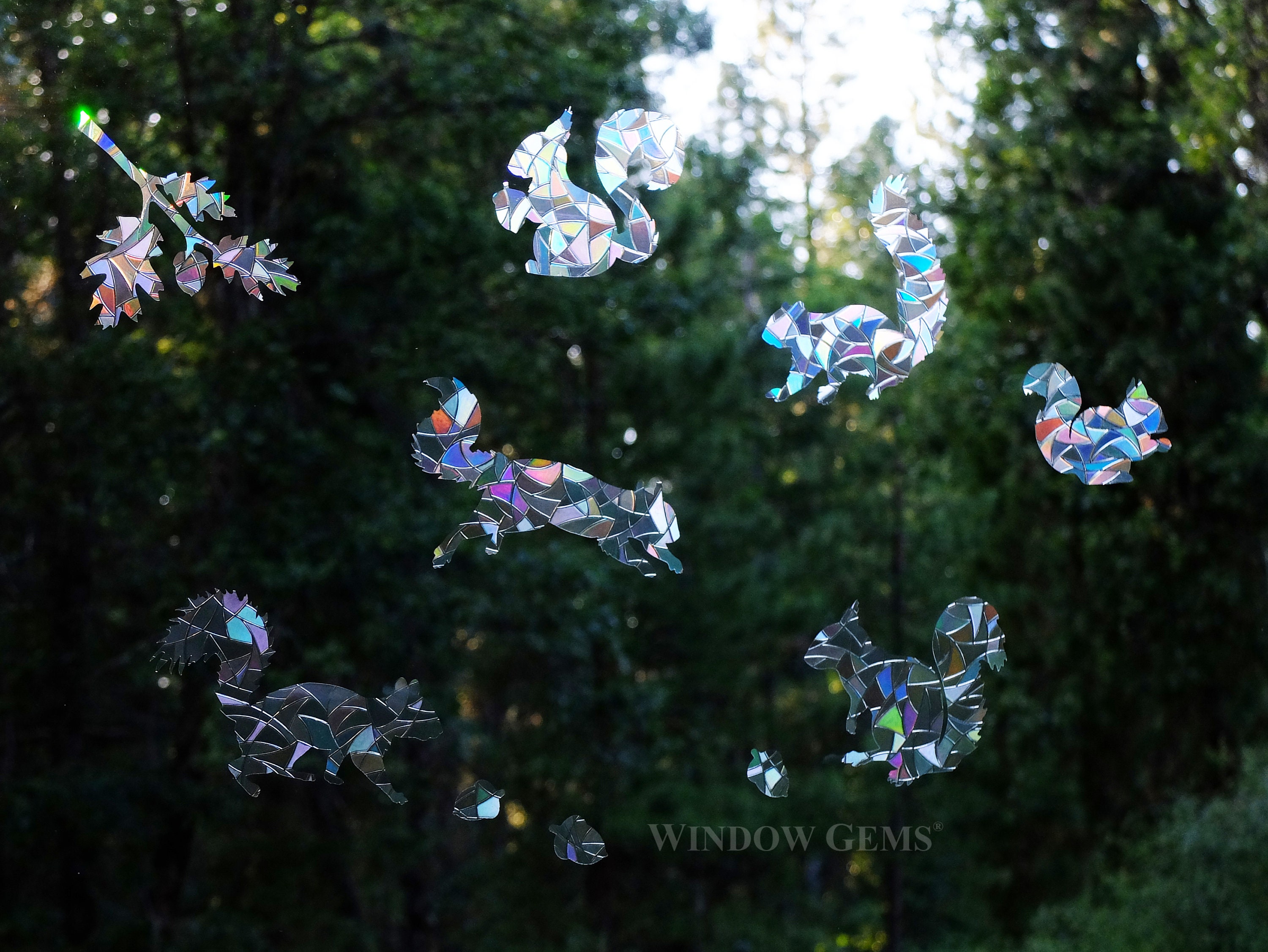 Squirrel Window Gems Static Window Clings Alert Birds to - Etsy