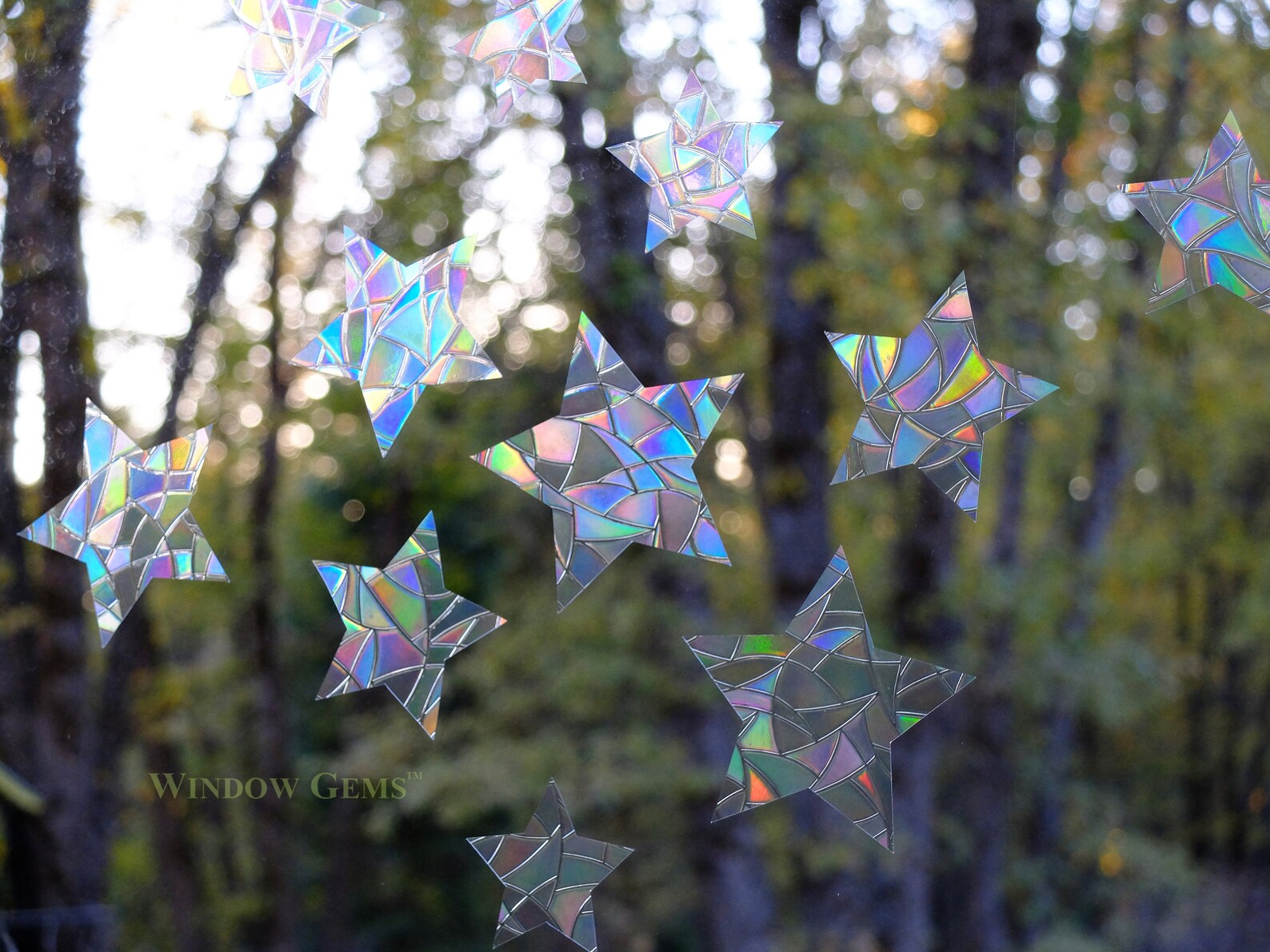 Star Window Gems Static Window Clings Alert Birds to - Etsy