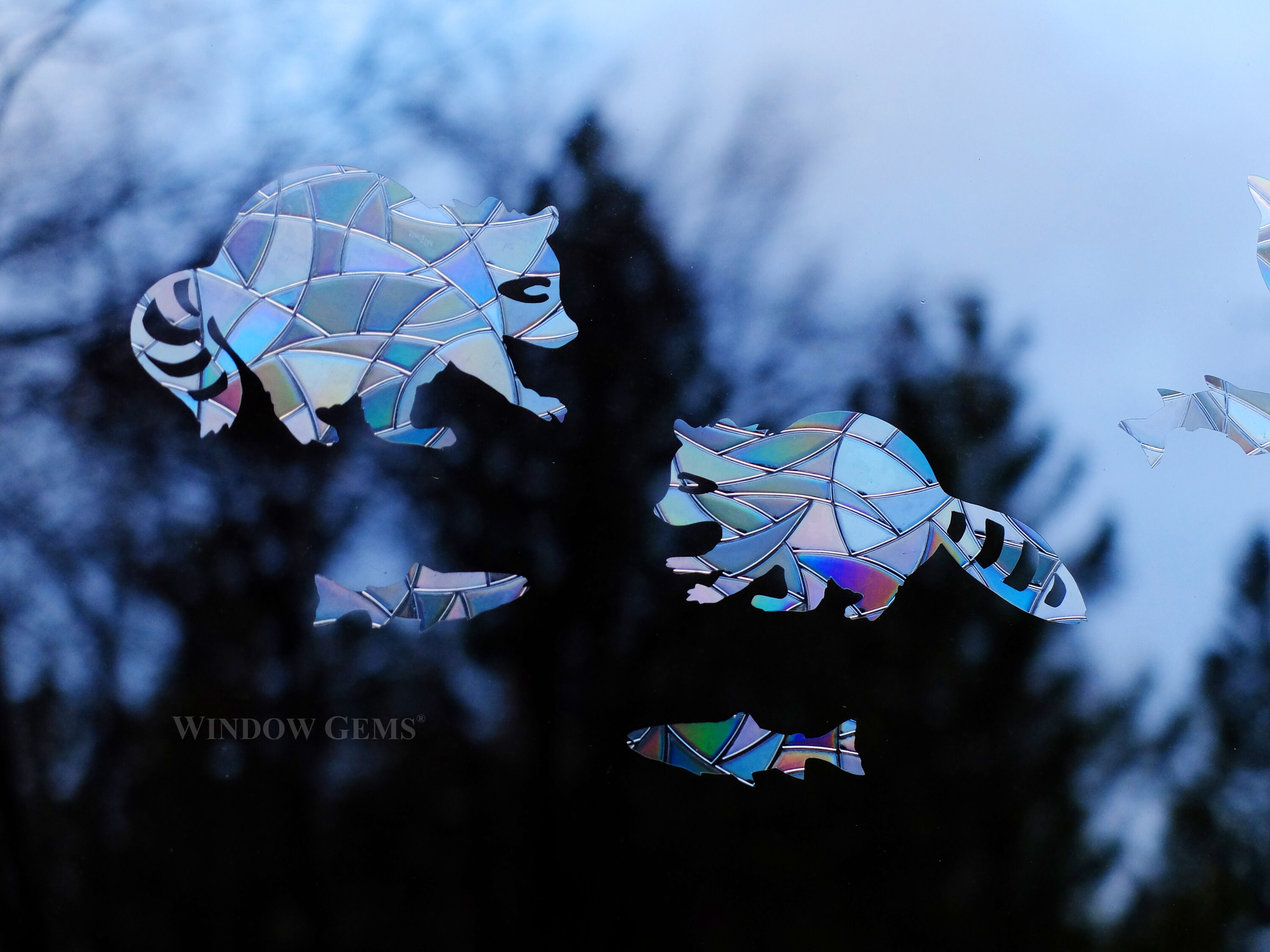 Raccoon Window Clings – Prismatic Decals to Prevent Bird Collisions - Etsy