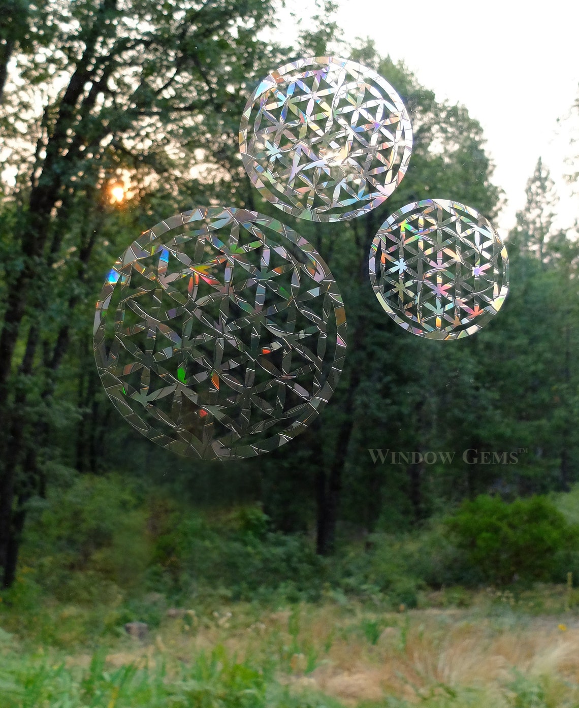 Flower of Life Mandala Window Cling Bird Strike Prevention | Etsy