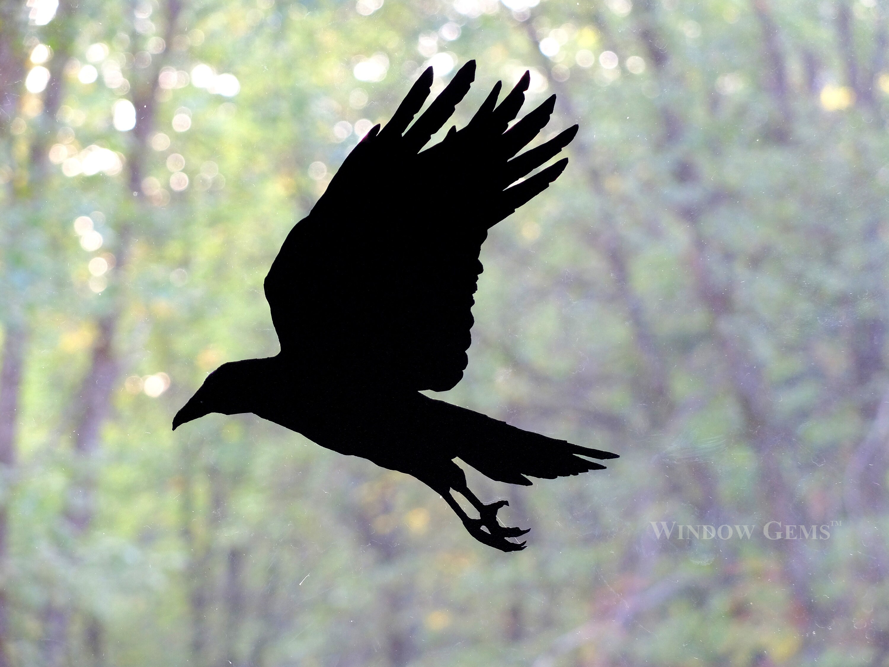 Raven Window Clings - Matte Black Decals - Prevent Bird/window ...
