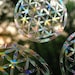 Flower of Life Mandala Window Cling Bird Strike Prevention - Etsy
