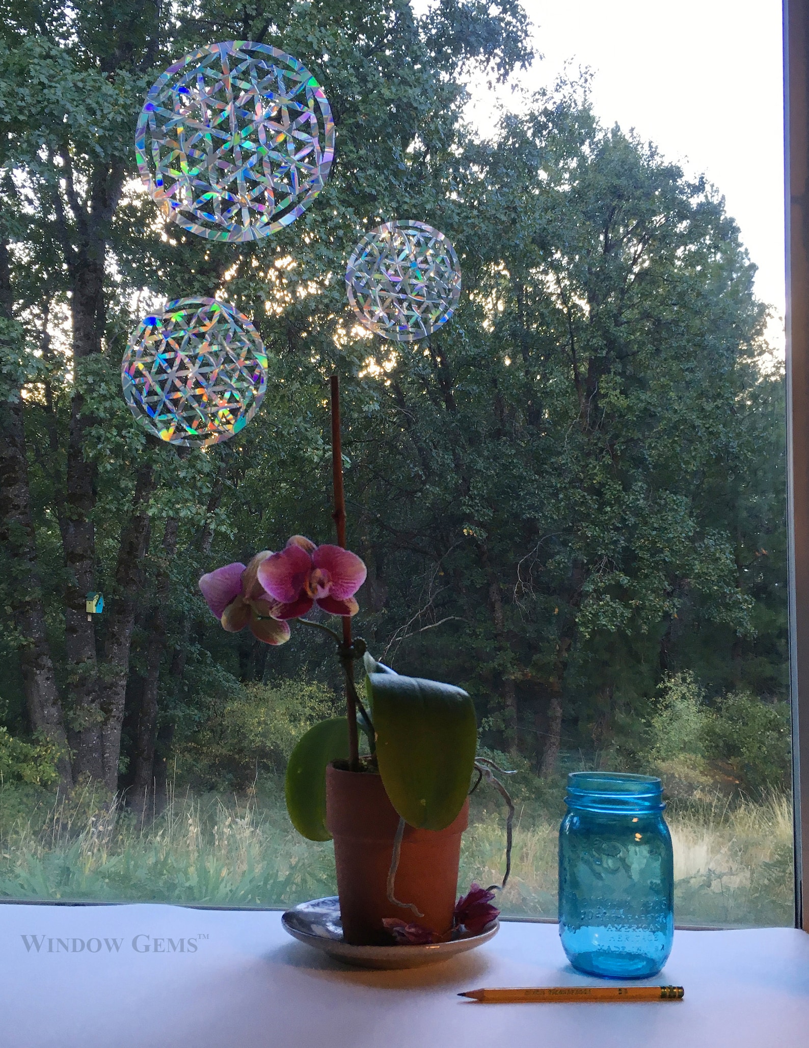 Flower of Life Mandala Window Cling Bird Strike Prevention | Etsy