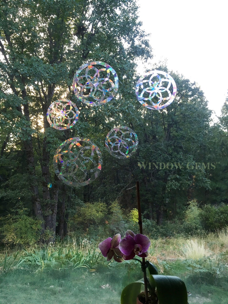 Lotus Mandala Window Cling Bird Strike Prevention Decals - Etsy