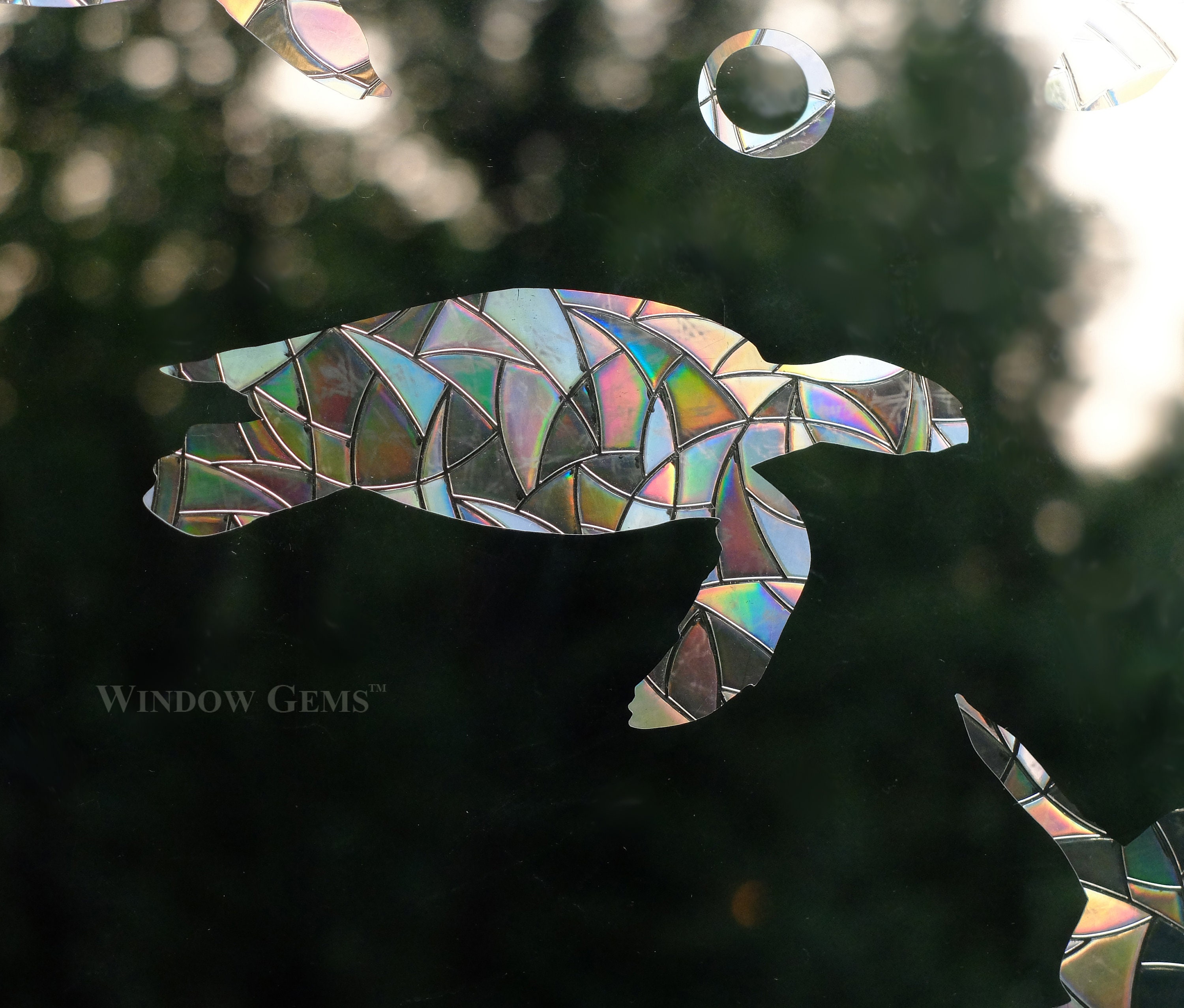 Rainbow Prism Sea Turtle Decals Static Window Clings Alert - Etsy