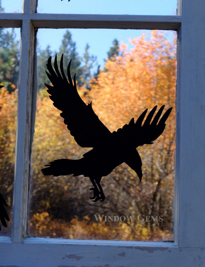 Raven Window Clings - Matte Black Decals - Prevent Bird/window ...